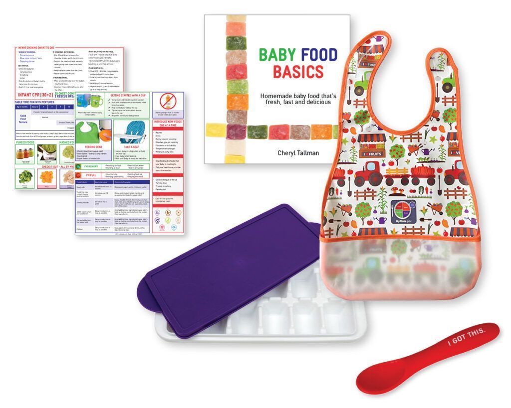 Baby Food Kit 2.0 – Fresh Baby | Nutrition Education & Physical ...